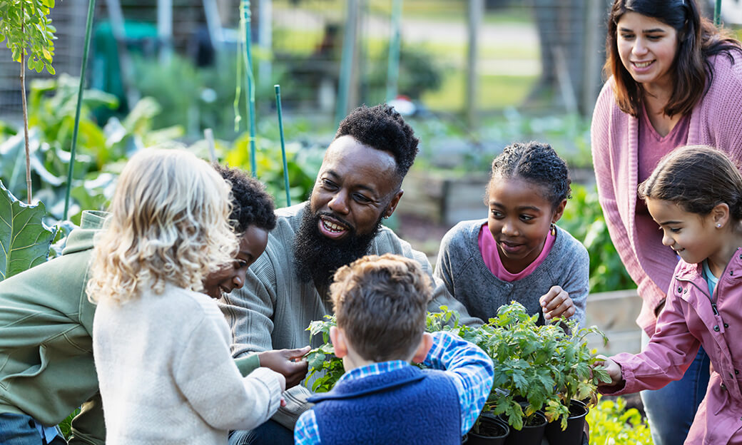 How do we improve SNAP-Ed data? - Westat