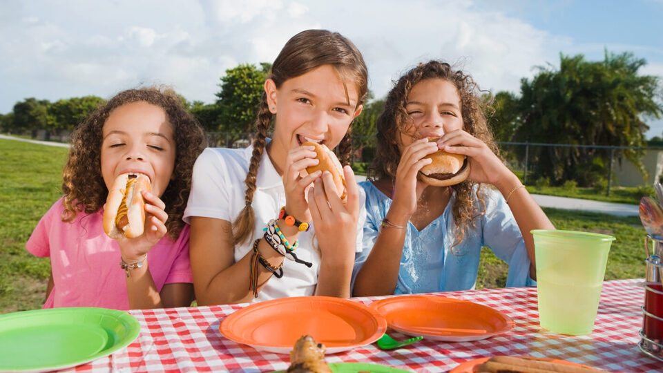 What integrity challenges arise in the SFSP? - Westat