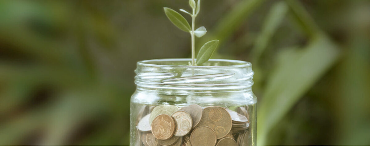 Are grantees complying with charter school program regulations? - Westat