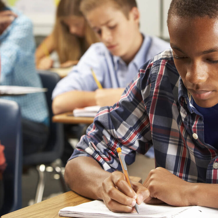 Data Collection - Westat