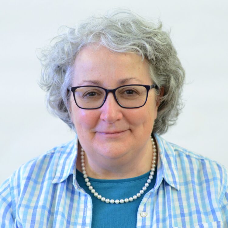 Social Services - Westat